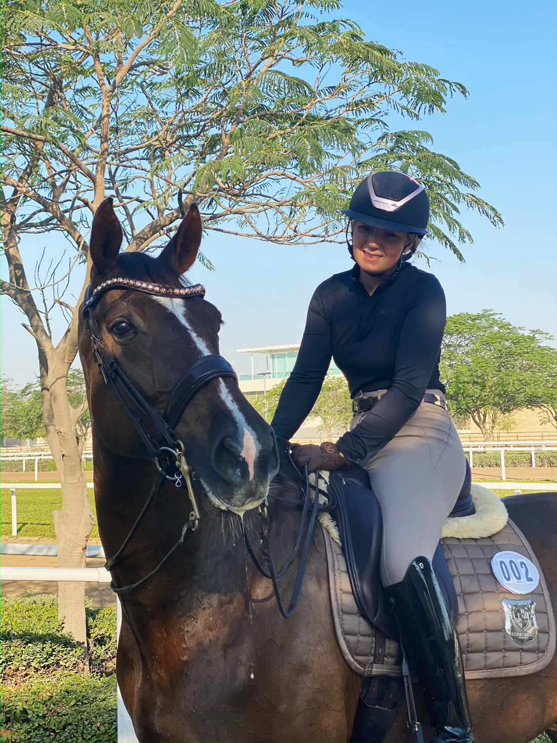 Atletix Horse – Ett helt naturligt fodertillskott